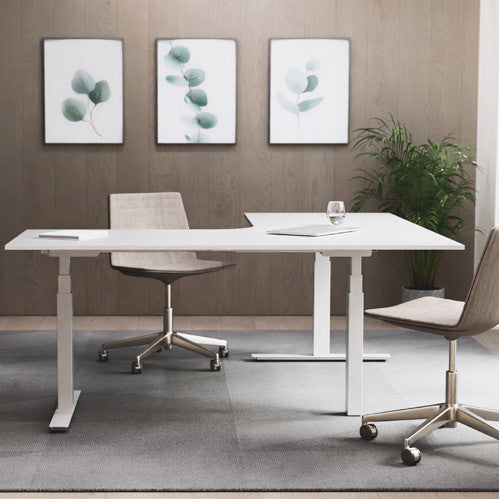 Yo-Yo DESK® PRO 2+ Height Adjustable Standing Desk for Home & Office