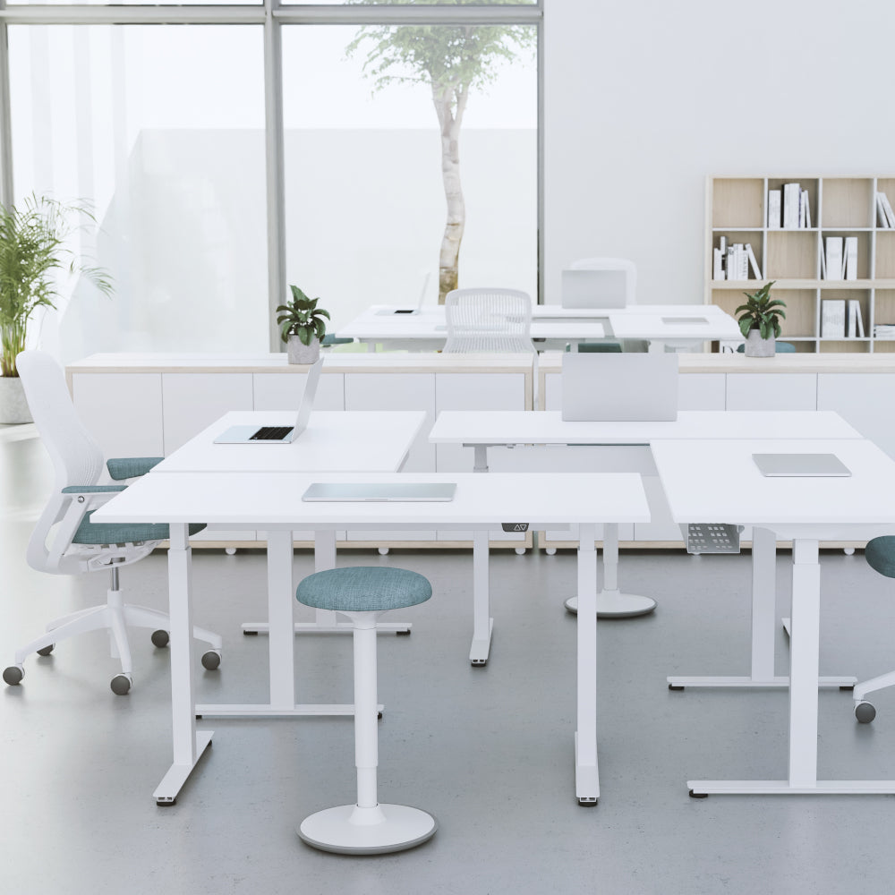 Yo-Yo DESK® PRO 2+ Height Adjustable Standing Desk for Home & Office